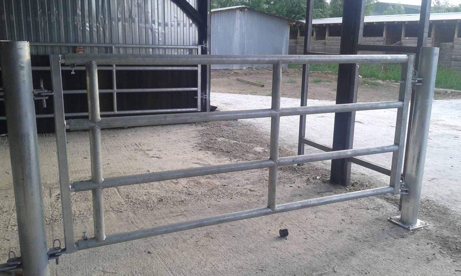Livestock gate - GATG413 - AHI - FARM CAMARA - stable / for cows / metal