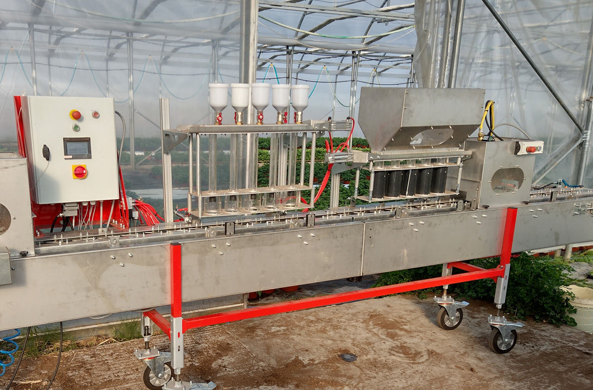 Automatic seeding line - GVS5 - GOLDMASZ SC - for pots / with automatic ...