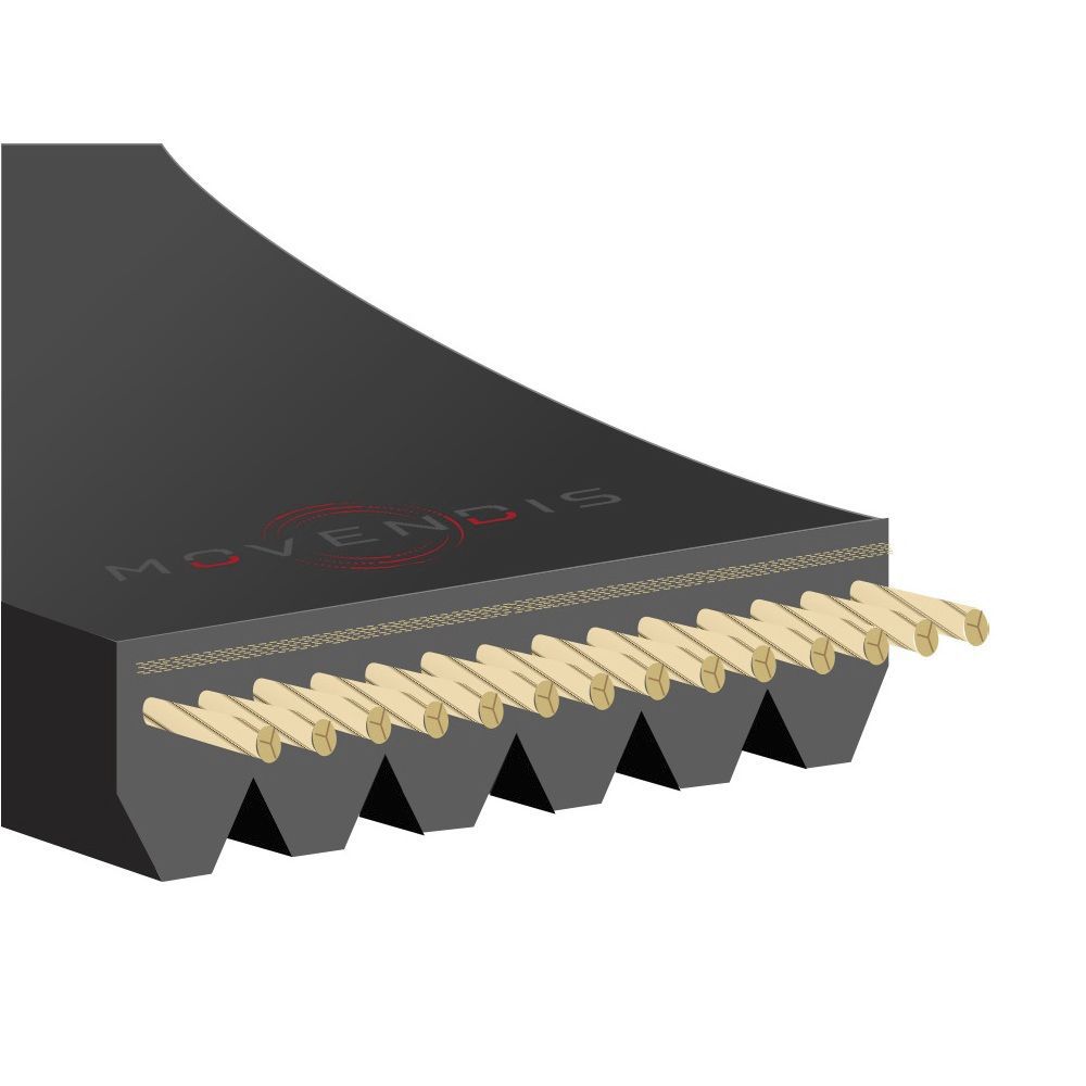 Ribbed belt drive - MOVENDIS Agri Belts - for tractors / for farm ...