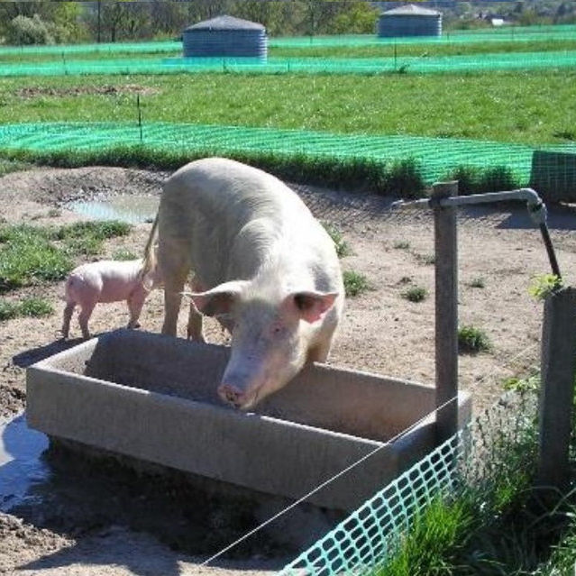 Pig trough - PLEIN AIR CONCEPT - concrete / interior