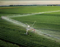 Irrigation pivot with corner system - All the agricultural manufacturers