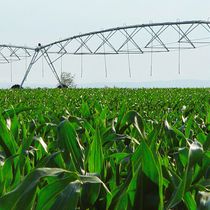 Irrigation pivot - All the agricultural manufacturers