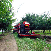 Tree shaker, Trunk shaker - All the agricultural manufacturers