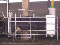 Cattle head gate - All the agricultural manufacturers