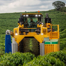 Coffee harvester machine - All the agricultural manufacturers