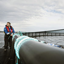 Metal fish cage - All the agricultural manufacturers