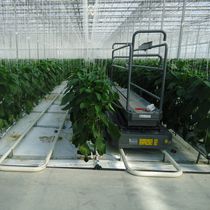 Greenhouse transport cart - All the agricultural manufacturers