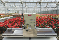 Automatic tray seeder, Automatic seeding line - All the agricultural ...