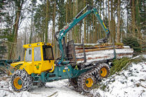 Compact forestry forwarder - All the agricultural manufacturers