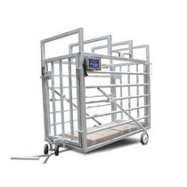 Cow scale, Cattle weighing scale - All the agricultural manufacturers