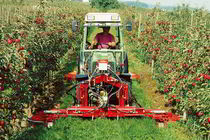 Mechanical weeder, Mechanical weeding machine - All the agricultural ...