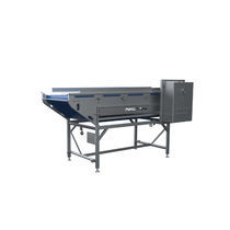Fruit sorter, Fruit sorting table - All the agricultural manufacturers
