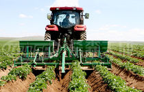Potato ridger, Potato hiller - All the agricultural manufacturers