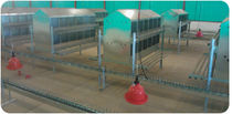 Reliance Poultry: Livestock Farming - AgriExpo