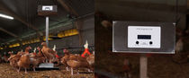 Poultry scale, Poultry weighing scale - All the agricultural manufacturers