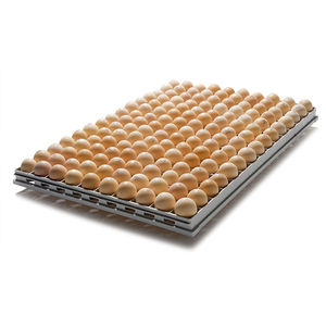 Chicken egg incubator - SmartSetPro™ setter series - Pas Reform ...