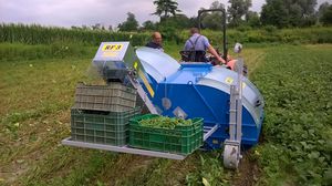 Bean harvester machine, Green beans harvester machine - All the ...