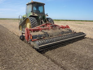 Stone burier with roller - G40 - FORIGO ROTER ITALIA