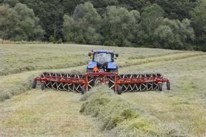 Rotary rake - SR 420/11H - SITREX S.p.a. - side delivery / single-rotor