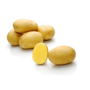 Medium early potato seed - Lilly - Solana GmbH & Co. KG - edible / long ...
