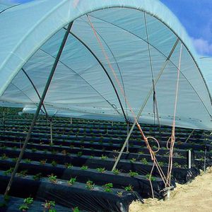 Greenhouse sheeting - TRC MULTIEVA - SOTRAFA, S.A. - EVA / UV-resistant ...