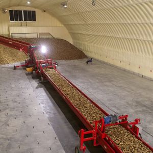 Potato conveyor - 560 - Spudnik Equipment Company LLC - chain / height ...