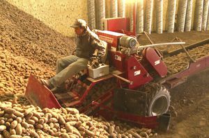 Potato conveyor - 560 - Spudnik Equipment Company LLC - chain / height ...