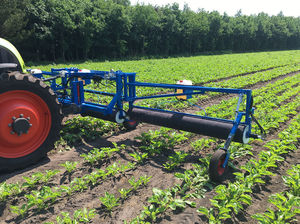 Mounted weeder, Tractor-mounted weeder - All the agricultural ...