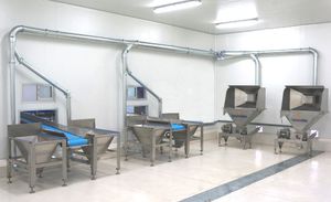 Chicks conveyor - Innovatec Hatchery Automation - belt / roller / waste ...