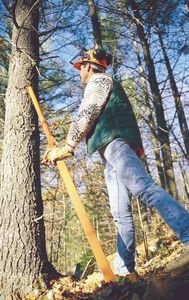 Manual log turner - Norwood Sawmills USA, Inc.