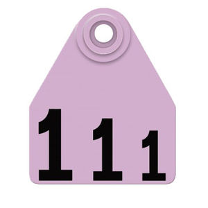 Sheep ear tag - Allflex USA, Inc. - goat / electronic