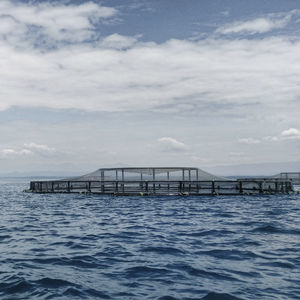 Floating fish cage - Hvalpsund Net a/s - square