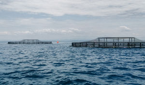 Floating fish cage - Mørenot Aquaculture AS - square