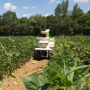 Autonomous farm robot - Ted - Naïo-Technologies - weeding / vineyard ...