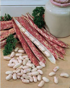 AGRI-SEMENCES: Seeds and crop inputs - AgriExpo