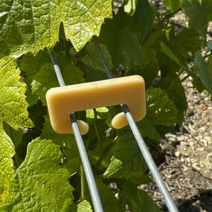 Vineyard staple - VITAGRAF DÉGRADABLE® - CAVI group - biodegradable