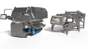 Optical sorter - Optyx® - Key Technologies