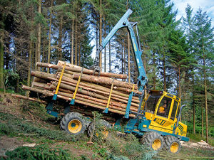 Combination forestry forwarder - 805F KOMBI SHORT - HSM Hohenloher ...
