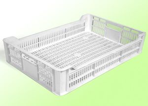 Vegetable box - RACCOLTA H.25 60X40X25 - Pentaplast - fruit / plastic