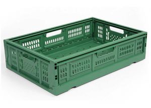 Vegetable box - FREEBOX 30X40X16 - Pentaplast - fruit / plastic