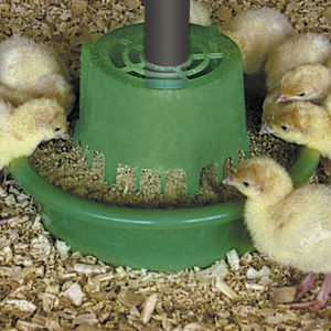 Poultry pan feeder - H2™ Plus - choretime - plastic / multi-access