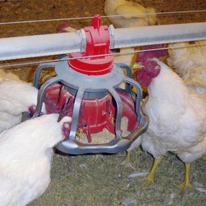 Poultry feeder - ULTRAFLO® - choretime - metal / multi-access