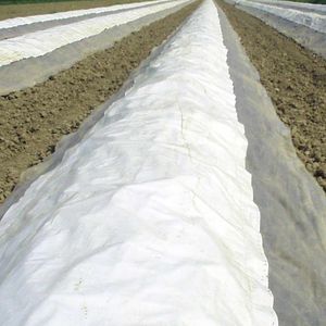 Soil cover sheeting - Dalin Pocket - daiosplastics - plastic / perforated