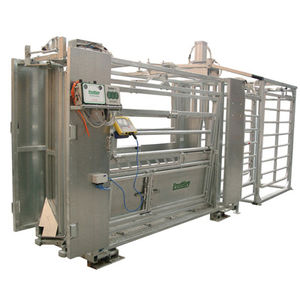 Cow scale - prattley - for calves / electronic / platform