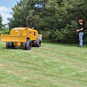 Walk-behind stump grinder - RG70X - Rayco