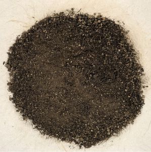 Potting soil growing medium - Universal - Italiana Terricci - bagged ...