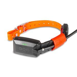 GPS collar - X25TB - VNT ELECTRONICS S.R.O. - electronic / training ...