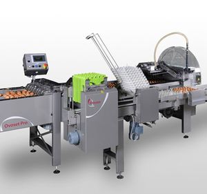 Automatic egg transfer system - All the agricultural manufacturers