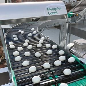 Automatic egg counter - All the agricultural manufacturers