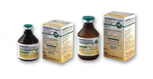 Antibacterial feed additive - Colimicina - S.P. VETERINARIA, S.A. - pig ...